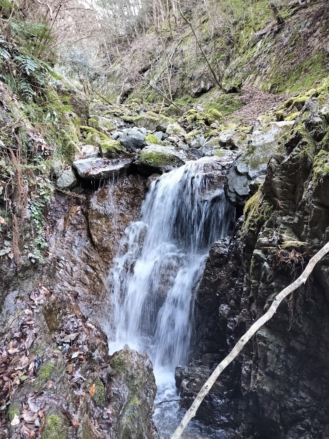 焼谷右俣リベンジ-2024-02-17 / sawayaさんの向坂山・三方山・天主山の活動データ | YAMAP / ヤマップ