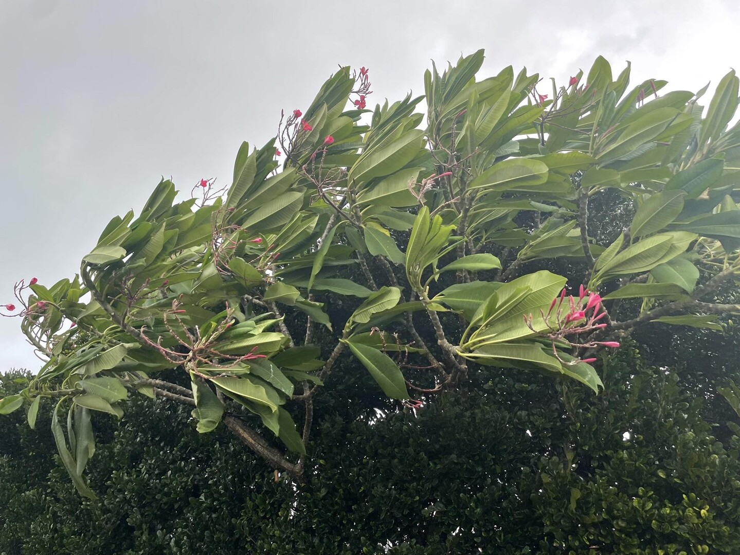 台風11号🌀今からが近づいてくる〜 今... / sae.irisさんのモーメント | YAMAP / ヤマップ