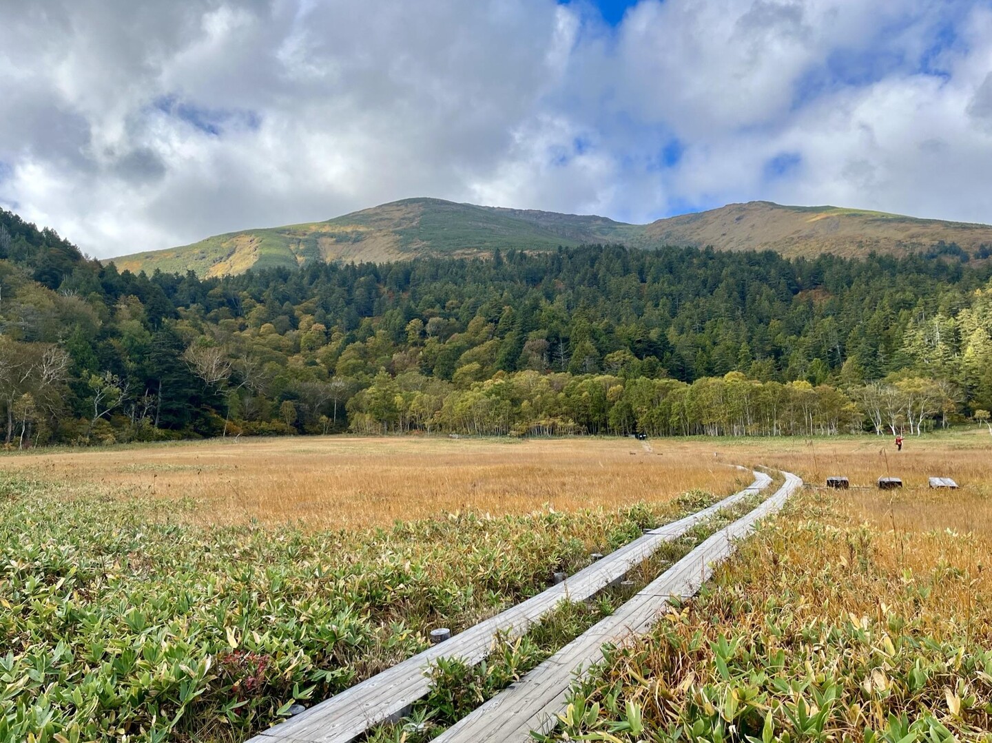 至仏山・小至仏山 / maaさんの尾瀬・至仏山・悪沢岳・笠ヶ岳の活動データ | YAMAP / ヤマップ
