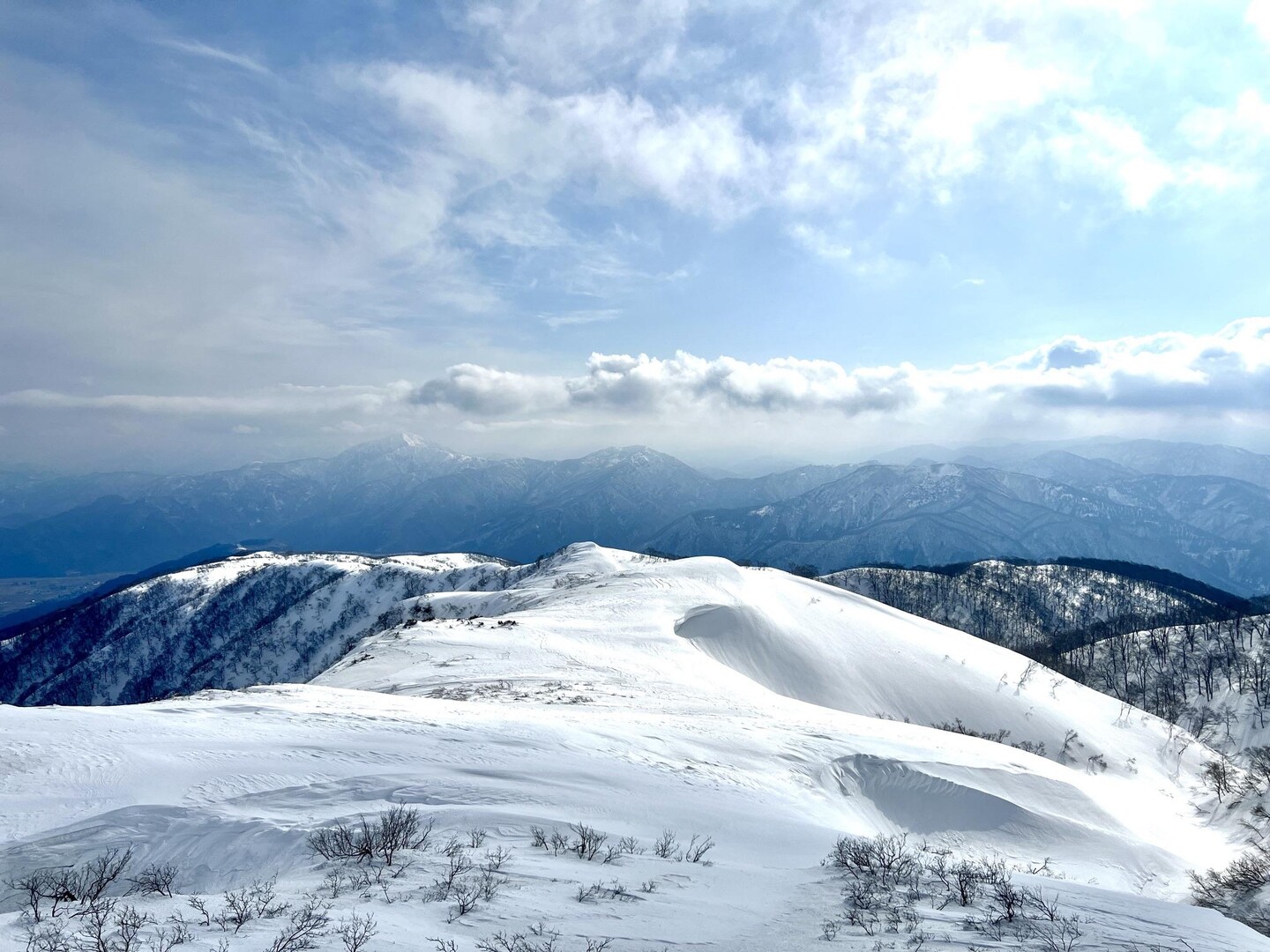 『げなんぽ&へこ』九郎の池 周回 / TADY.さんの銀杏峰・部子山の活動データ | YAMAP / ヤマップ