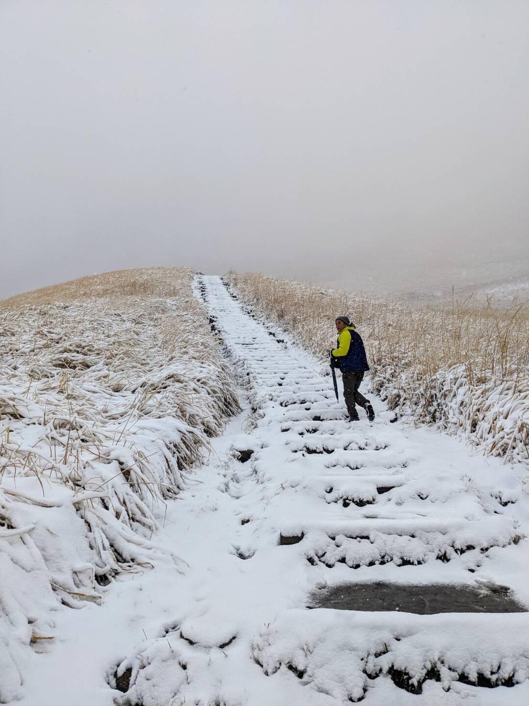 雪の曽爾高原2024.2.23 / Andyさんのウォーキングの活動データ | YAMAP / ヤマップ