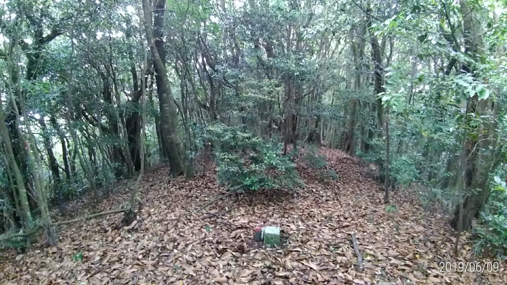 ちょいと一の宮 / ヨッシーさんの虚空蔵山の活動日記 | YAMAP / ヤマップ
