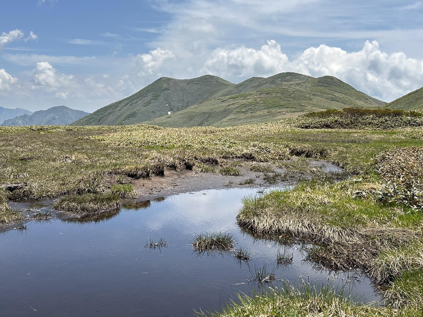 平標山・仙ノ倉山 / rysykoさんの仙ノ倉山・平標山・大源太山の活動データ | YAMAP / ヤマップ