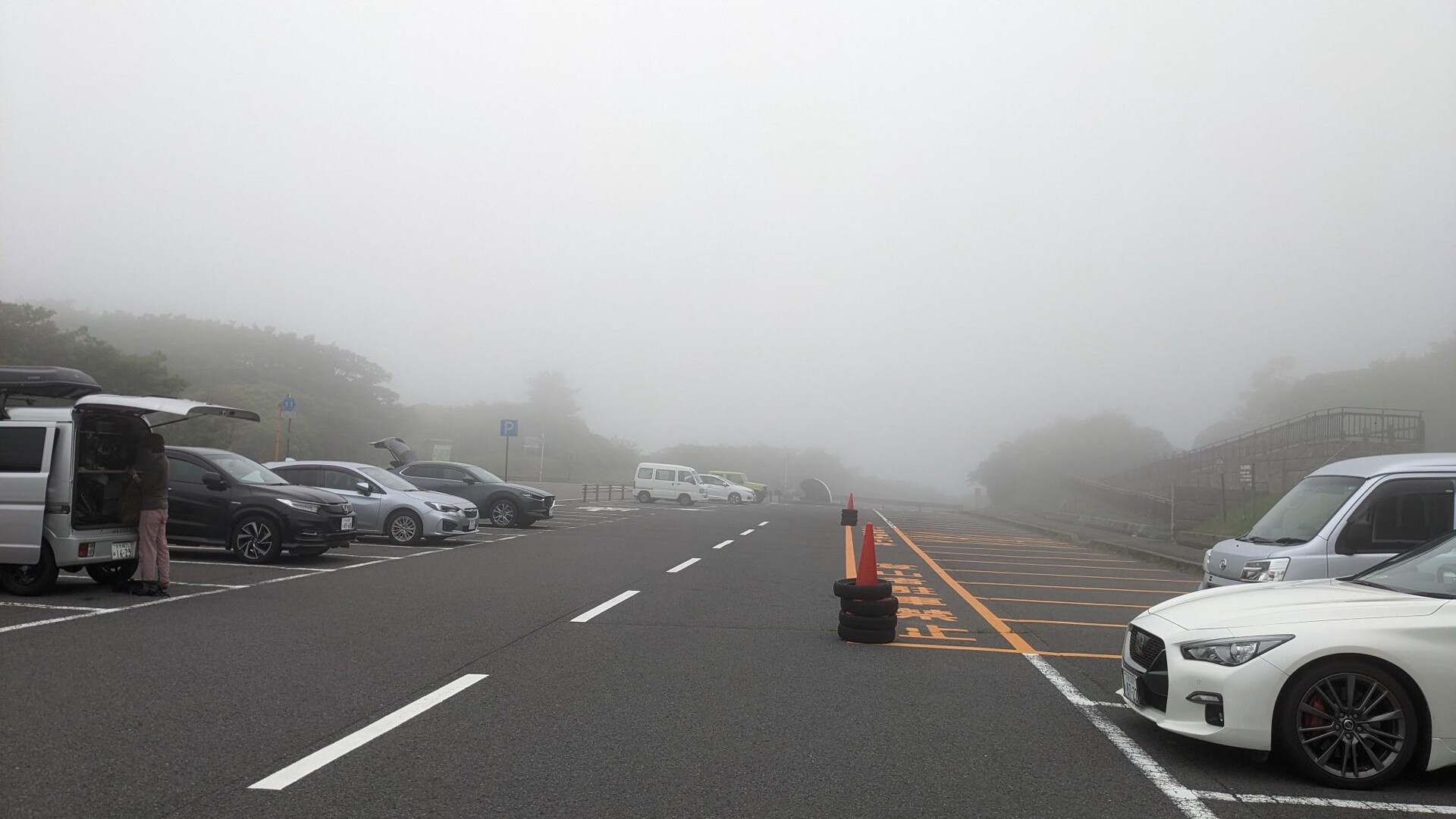 強行 ミヤマキリシマ鑑賞登山 / tonnoさんの九重山（久住山）・大船山・星生山の活動データ | YAMAP / ヤマップ