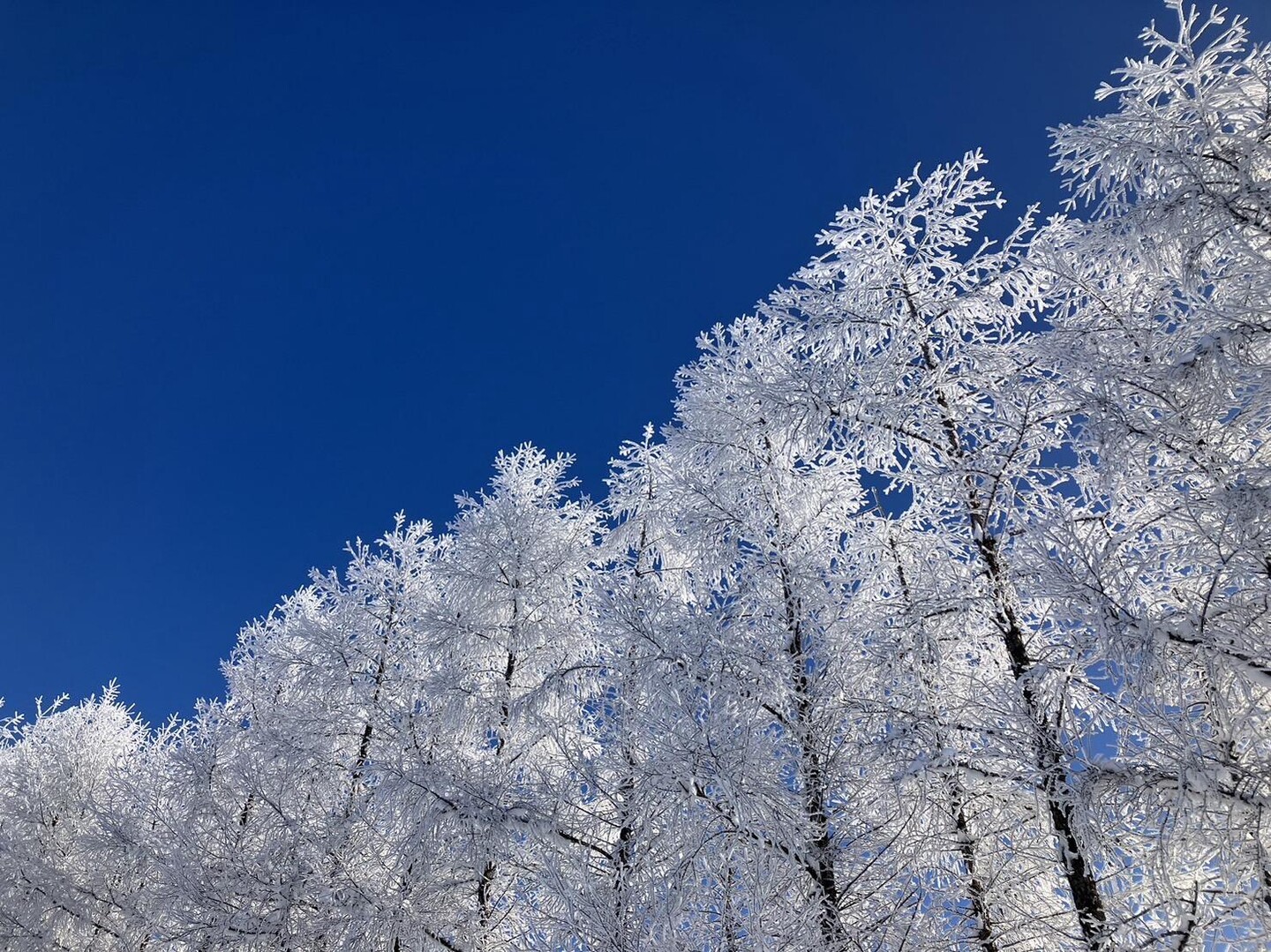 AOのページ | YAMAP / ヤマップ