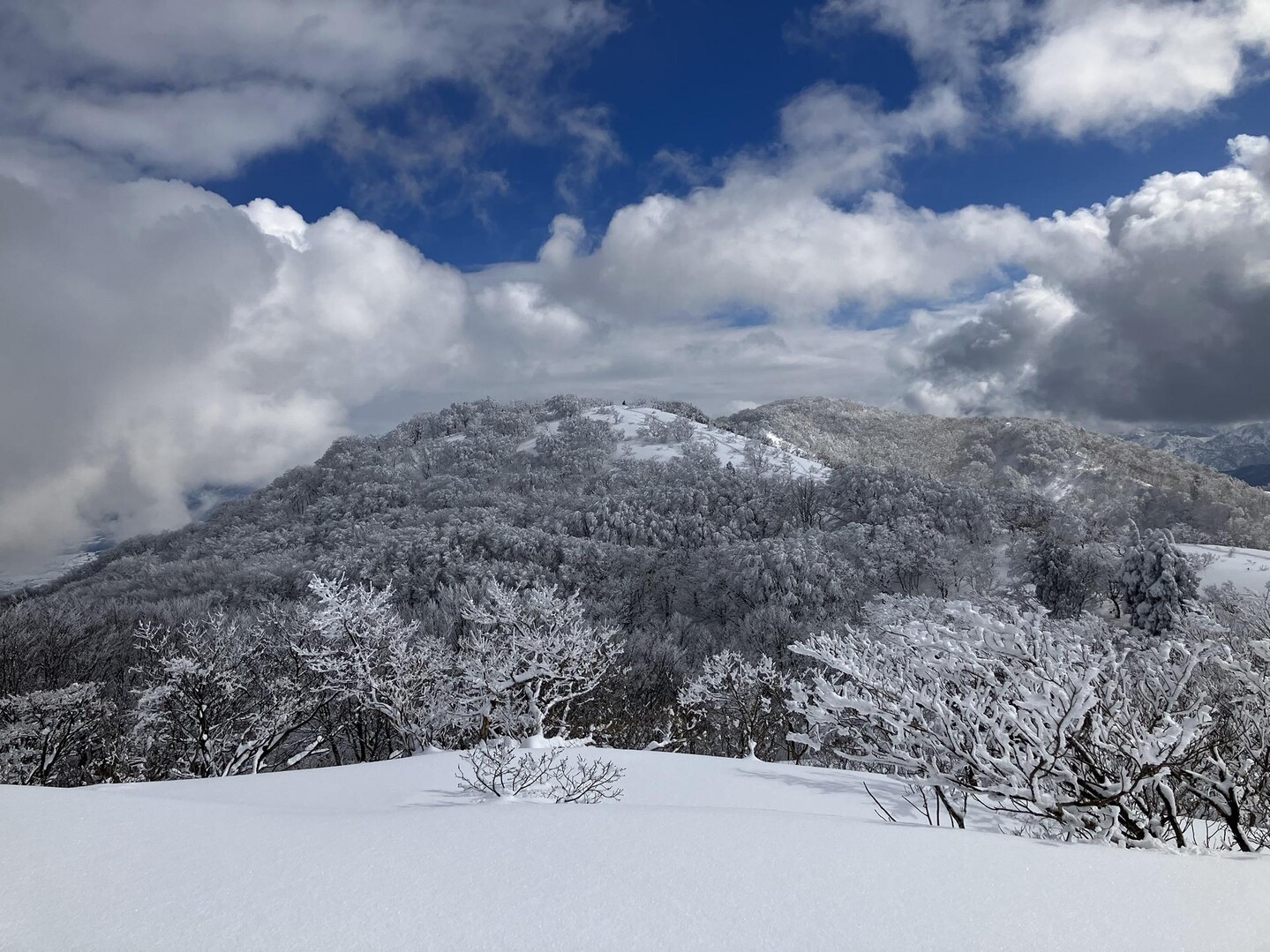 新雪の医王山 / Live 4 todayさんの医王山・白兀山・箱屋谷山の活動データ | YAMAP / ヤマップ