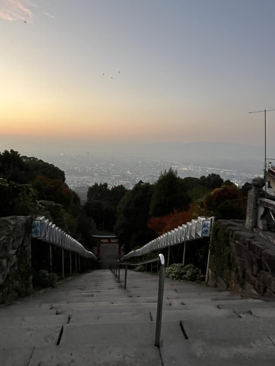 高良山夕方から登りました。ありがとう 1... / ma.sa.さんのモーメント | YAMAP / ヤマップ