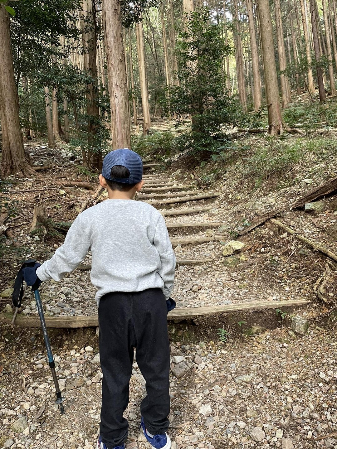 次男と多度山 ワオワオさんの多度山・美濃松山・石津御嶽の活動データ Yamap ヤマップ