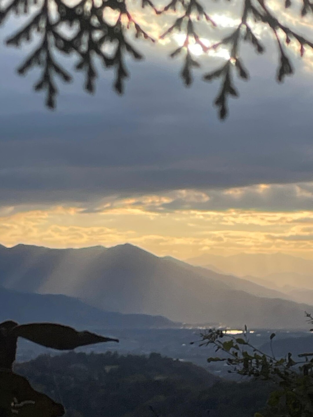 大山寺の大銀杏を見に / kikiさんの大山・鉢伏山の活動データ | YAMAP / ヤマップ