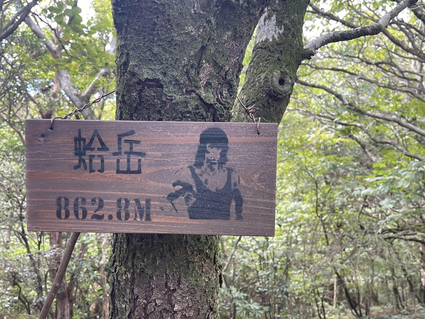 蛤岳 / OKBさんの脊振山・金山の活動データ | YAMAP / ヤマップ