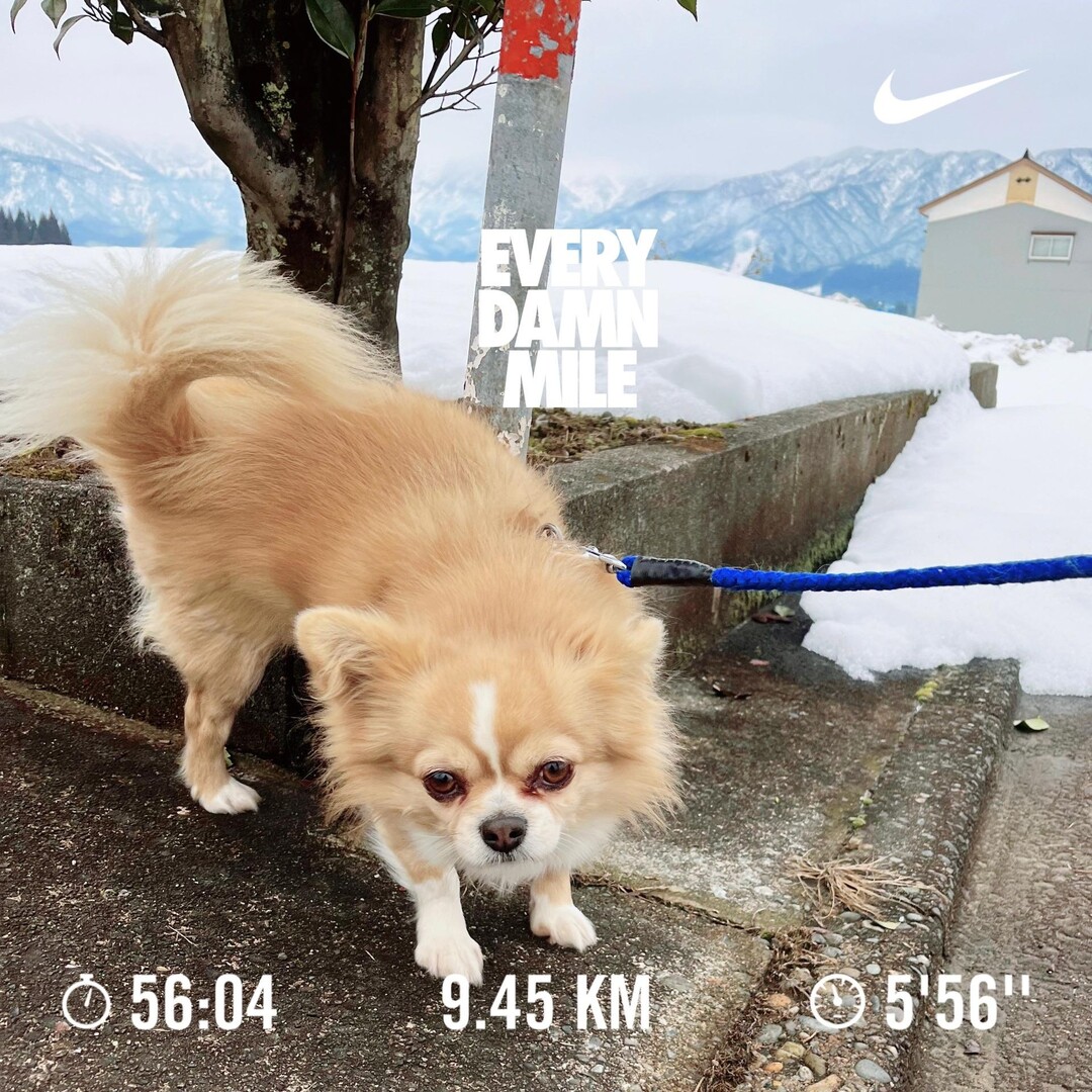 2月に入っても雪少ないから、ちんたら走り... / ひかるさんのモーメント | YAMAP / ヤマップ