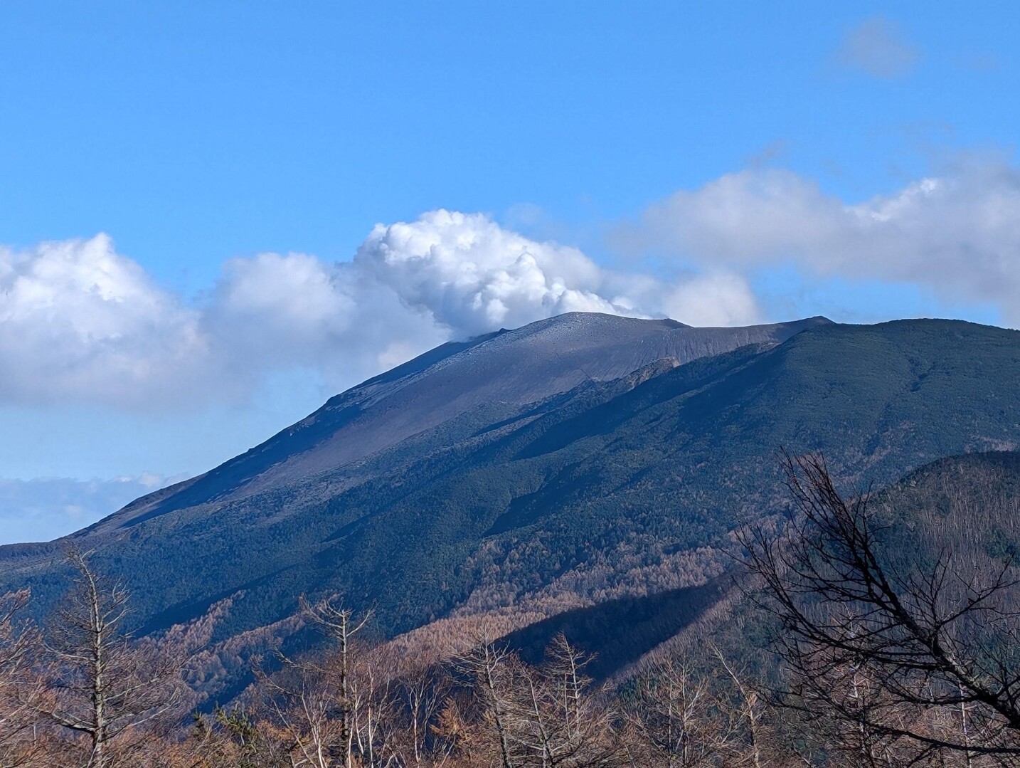 桟敷山 / moozさんの湯ノ丸山・角間山・鍋蓋山の活動データ | YAMAP / ヤマップ