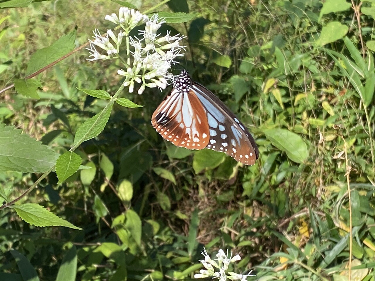 humieのページ | YAMAP / ヤマップ