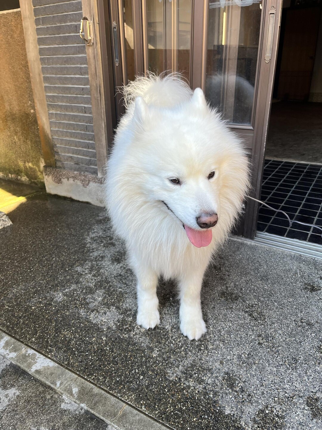 梟ヶ城址展望台・天下峯 / Markさんの六所山・炮烙山の活動データ | YAMAP / ヤマップ