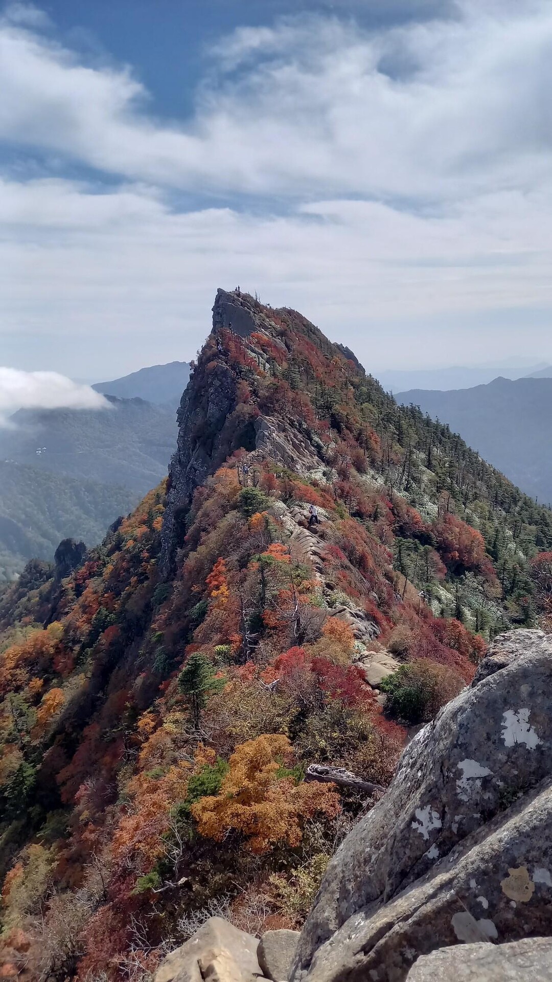 紅葉🍁の石鎚山は感動しかない / Yoyoさんの石鎚山・堂ヶ森・二ノ森の活動データ | YAMAP / ヤマップ