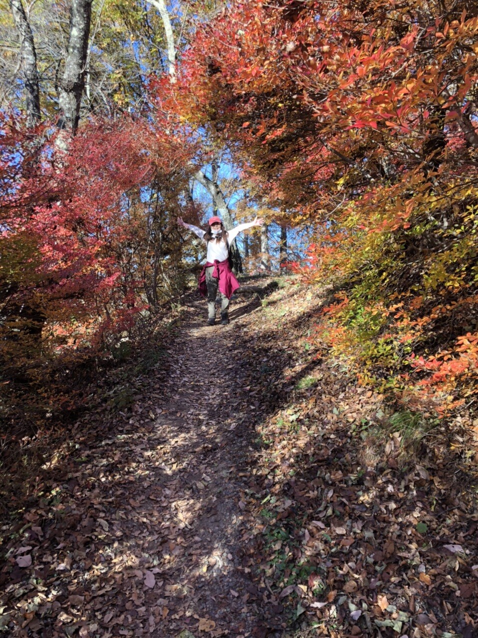 riecoのページ | YAMAP / ヤマップ