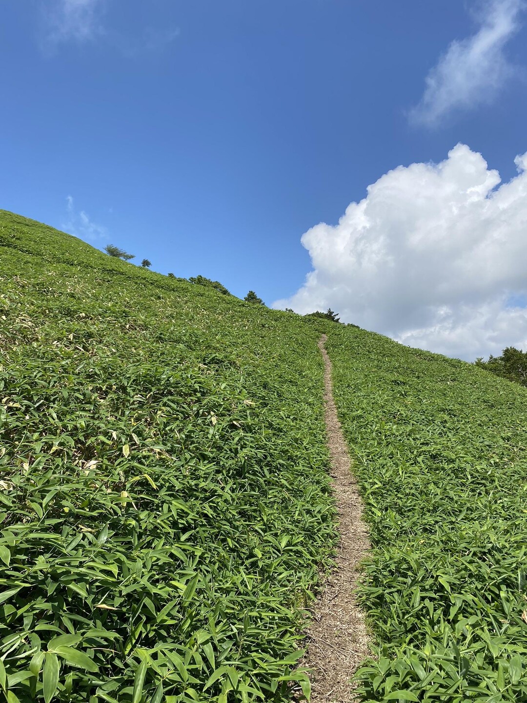 鉢伏山〜二ッ山 / koronさんの鉢伏山・高ボッチ山・三峰山の活動日記 | YAMAP / ヤマップ