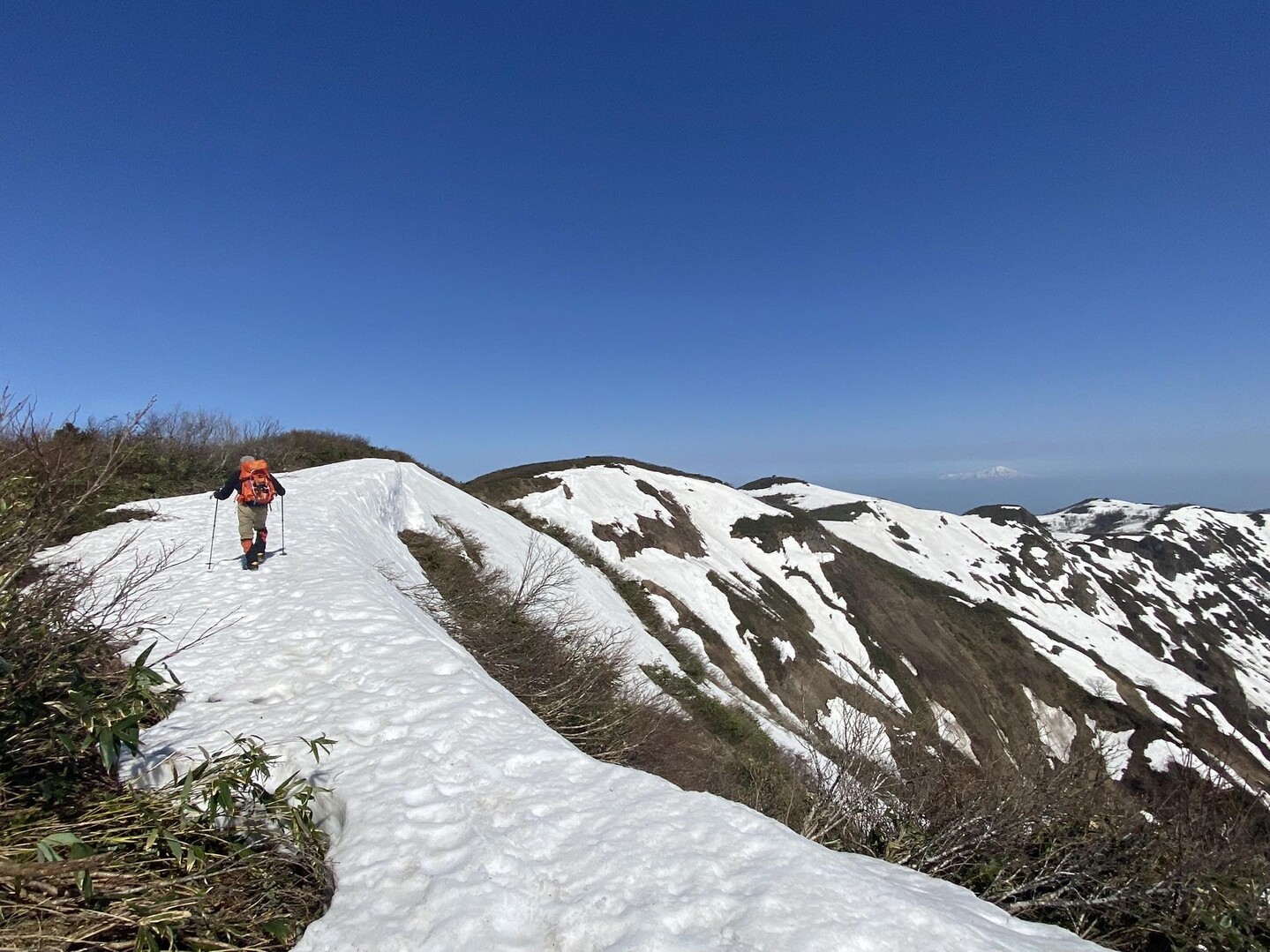 旬から春に変わっていた村上葉山😅 / 216闘琉牙丈さんの葉山の活動日記 | YAMAP / ヤマップ