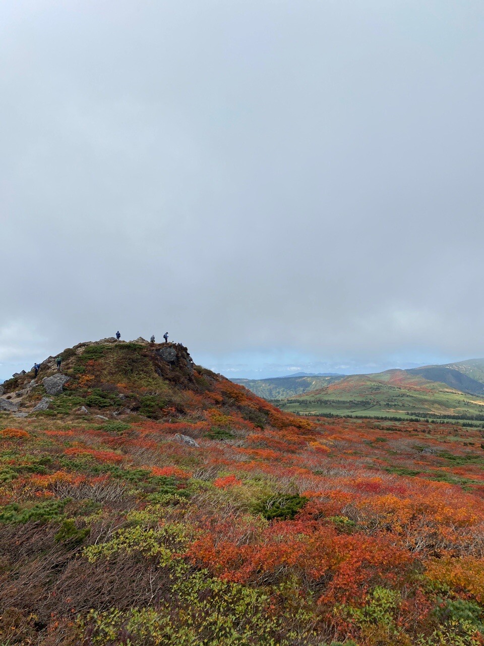 大松倉山・三ッ石山 おまけの犬倉山 / jun___boさんの岩手山・黒倉山・鞍掛山の活動データ | YAMAP / ヤマップ