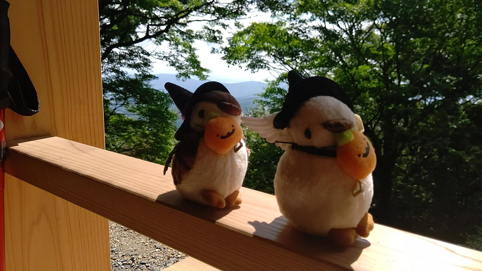 筑波山（女体山）・筑波山（男体山） / *yukapico**さんの筑波山の活動データ | YAMAP / ヤマップ