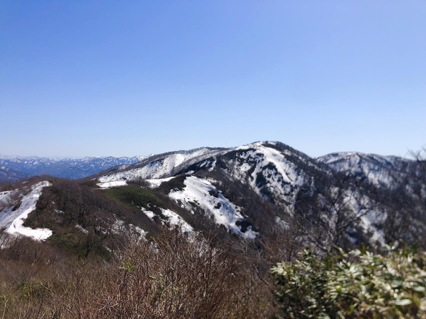 大谷山・鹿返ノ峰・鳴沢峰 / Naluさんの菅名岳・大蔵山・鳴沢峰の活動データ | YAMAP / ヤマップ