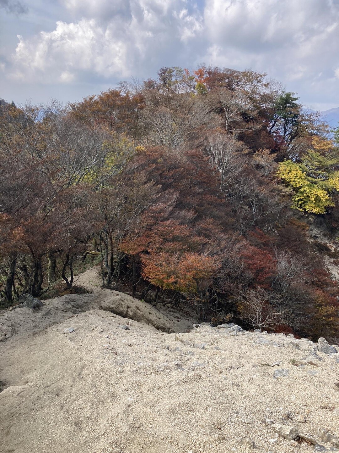 鎌ヶ岳 / 御在所岳（御在所山）・雨乞岳の写真74枚目 | YAMAP / ヤマップ