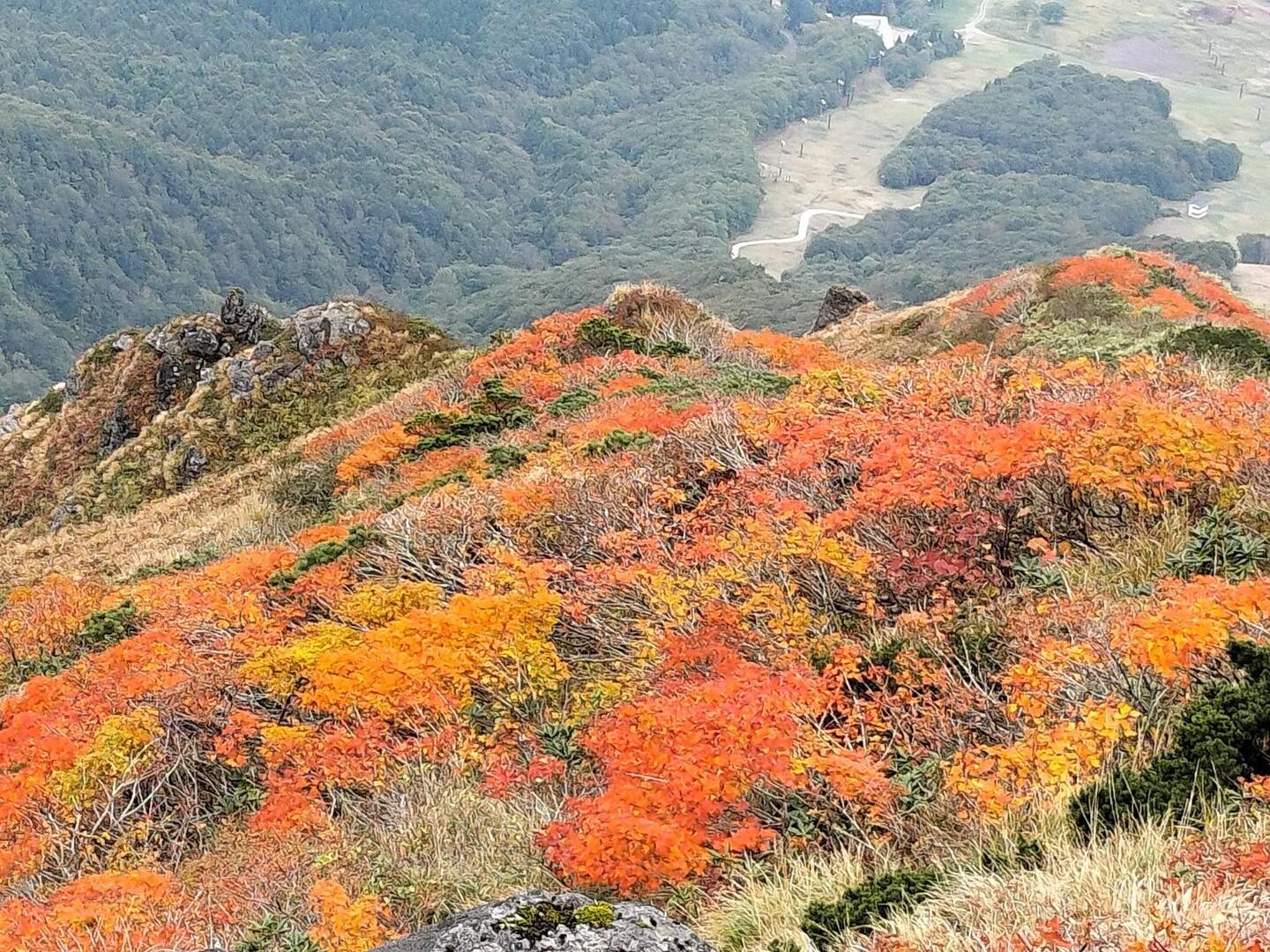 🍁秋駒のんびり / すだちさんの秋田駒ヶ岳・男女岳・貝吹岳の活動データ | YAMAP / ヤマップ
