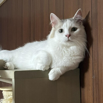 nireのページ | YAMAP / ヤマップ