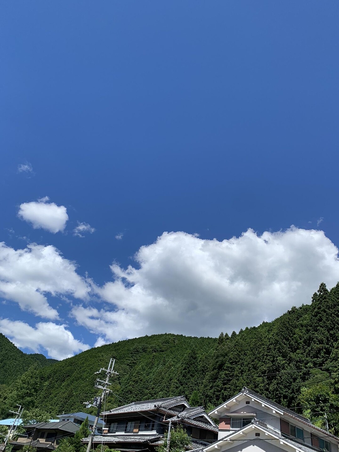 金剛山 モミジ谷→狼谷〜千早本道→ささやきの小径 / iwanemanさんの金剛山・二上山・大和葛城山の活動データ | YAMAP / ヤマップ