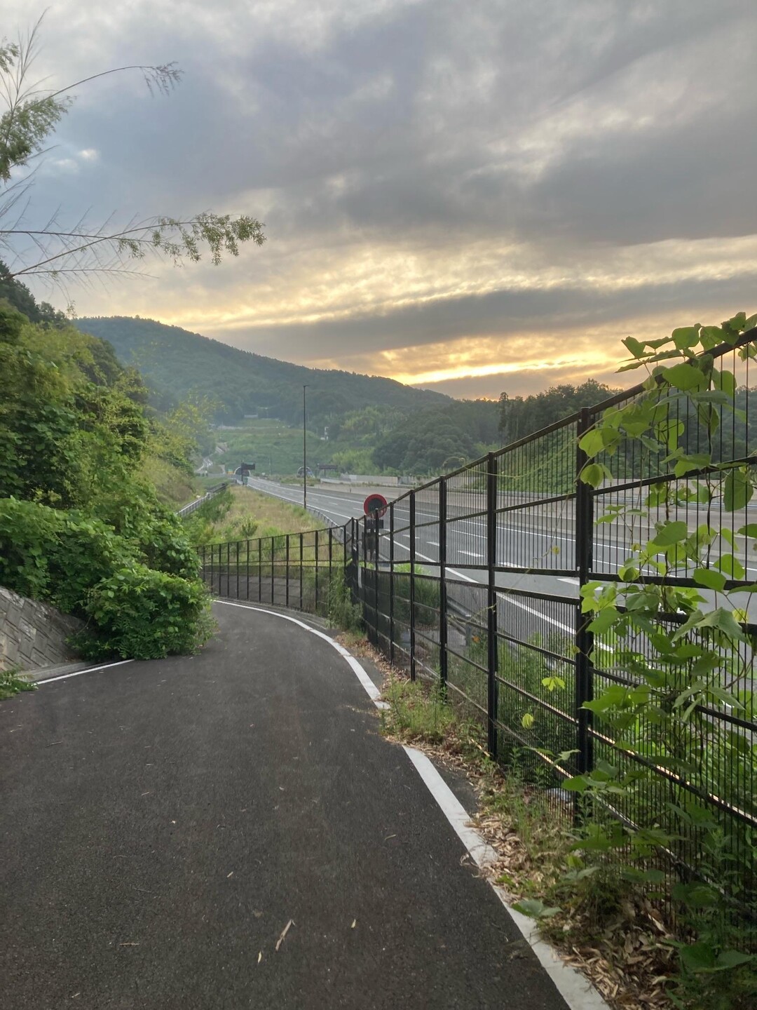 クルス山・寺山 / gonさんの竜王山・阿武山の活動データ | YAMAP / ヤマップ