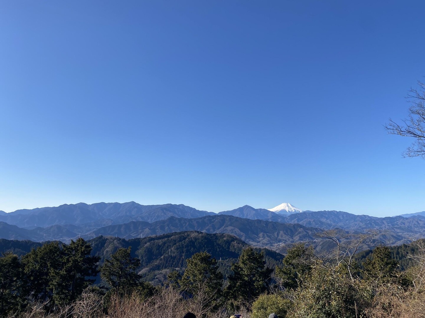 高尾山 / KAMOSOONさんの高尾山・陣馬山・景信山の活動データ | YAMAP / ヤマップ