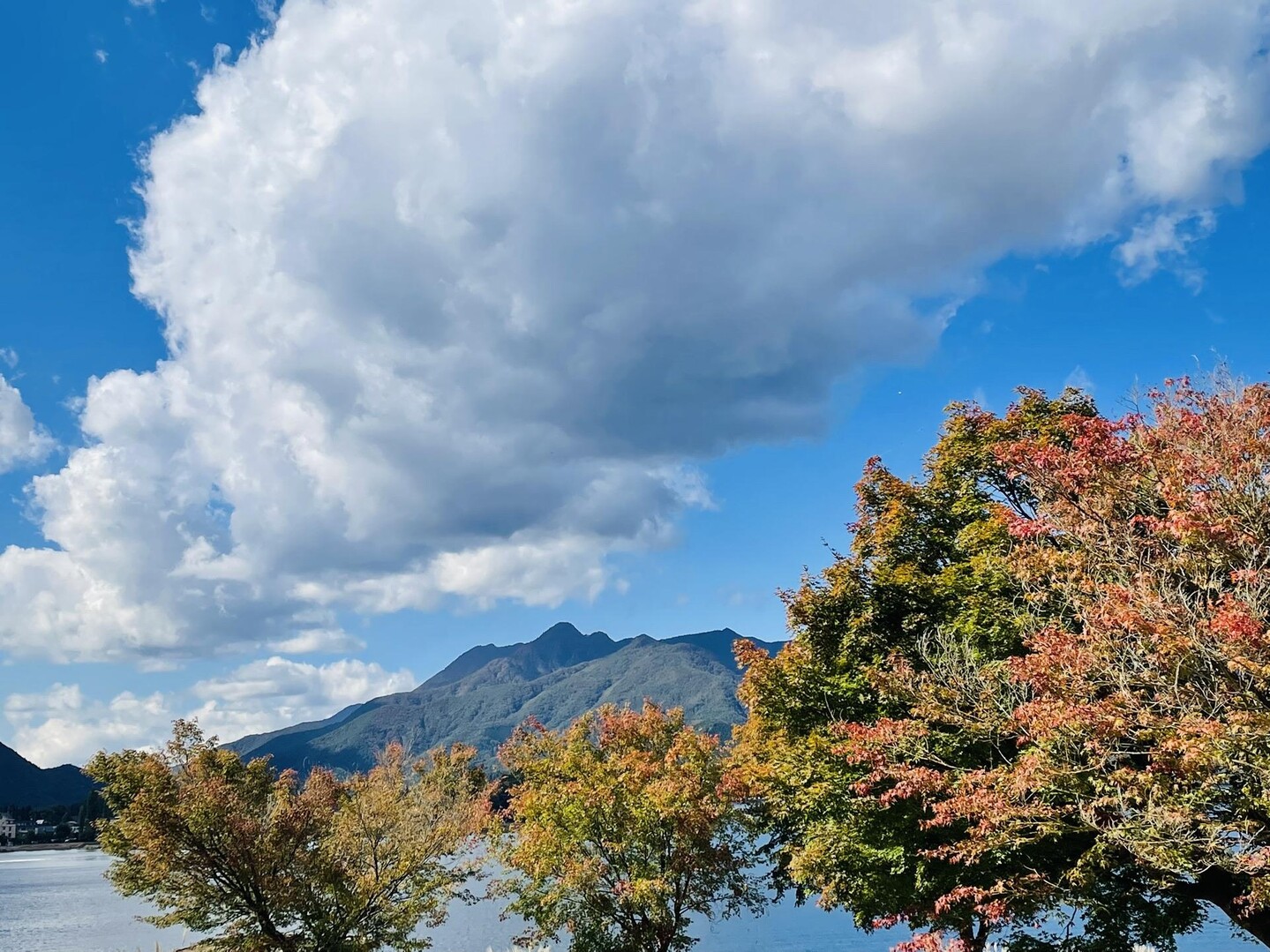 天上山（カチカチ山） / megさんのFUJISAN LONG TRAIL（御坂・三ツ峠エリア NORTH）の活動データ | YAMAP / ヤマップ