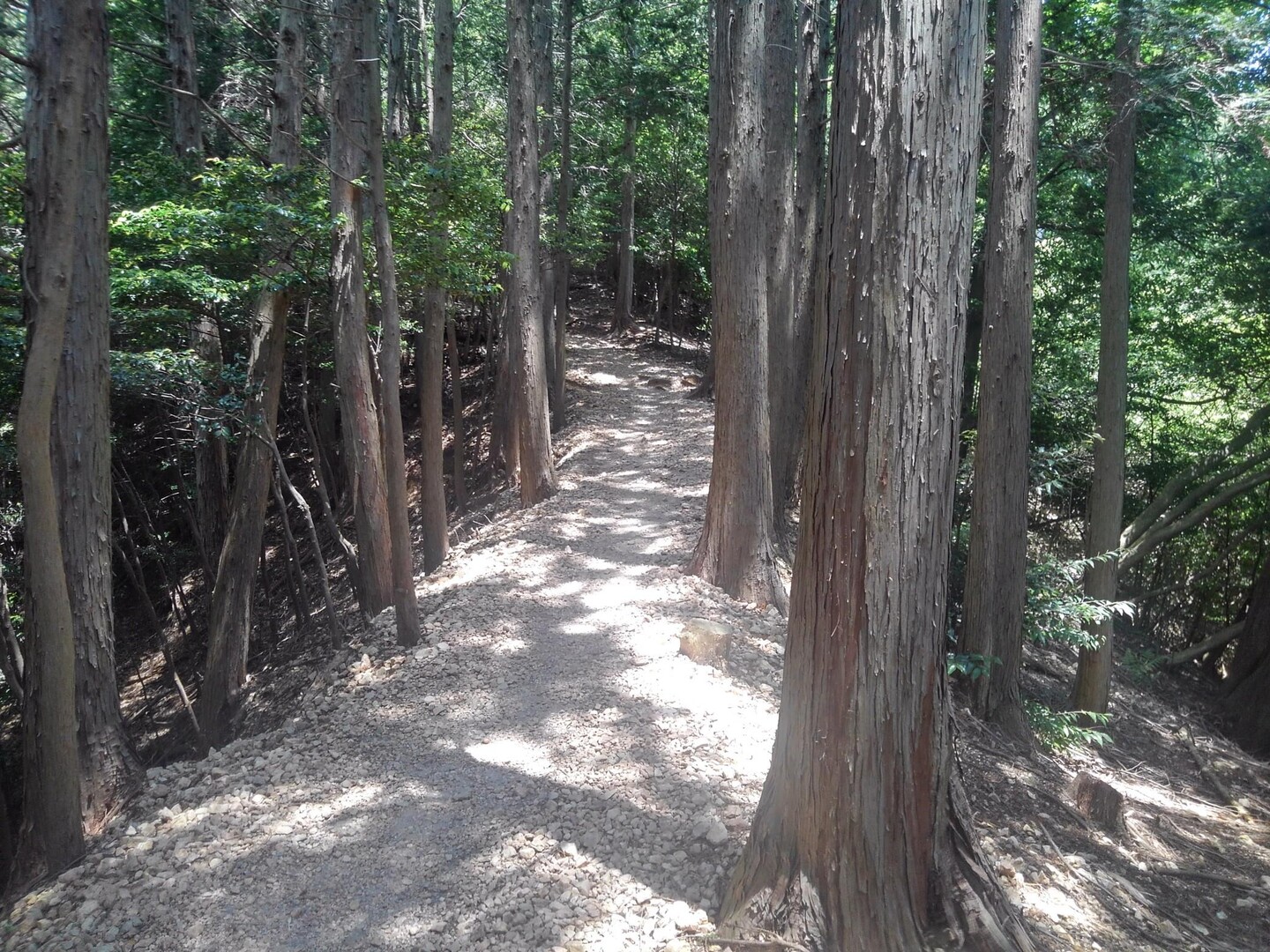 R6-13 多度山 / nob3さんの多度山・美濃松山・石津御嶽の活動データ | YAMAP / ヤマップ