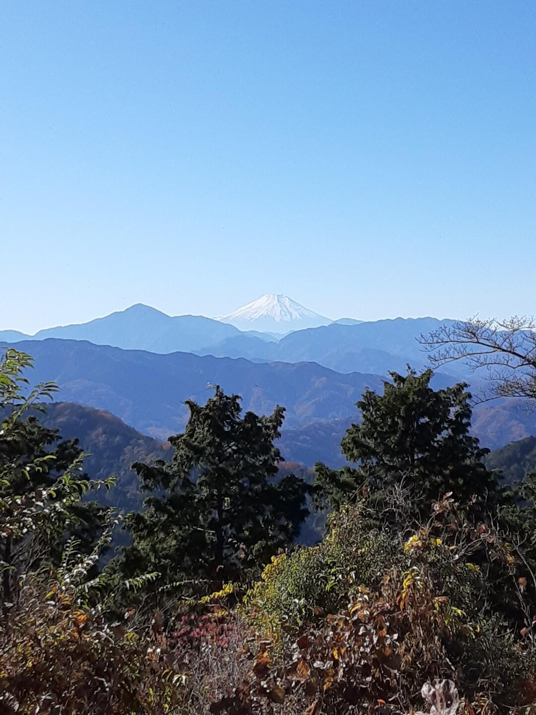 高尾山・いろはの森から / Kyuri_EXさんの高尾山・陣馬山・景信山の活動日記 | YAMAP / ヤマップ