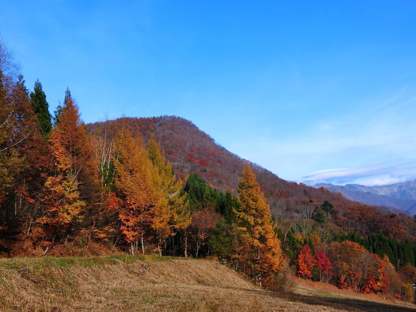 吾妻耶山・大峰山 / youさんの吾妻耶山・大峰山の活動日記 | YAMAP / ヤマップ
