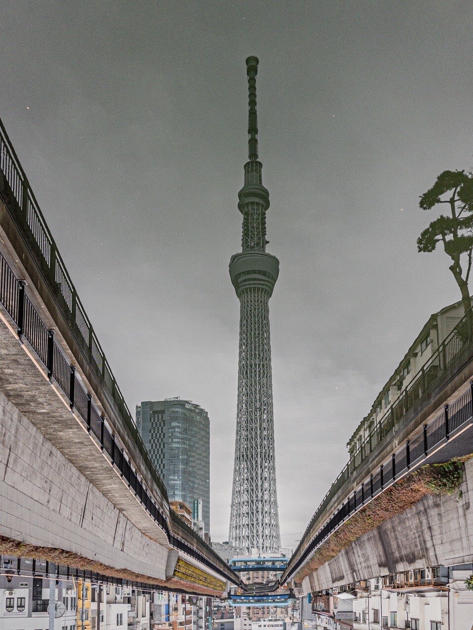 逆さスカイツリー 雨が止んだので軽くラ... / Italさんのモーメント | YAMAP / ヤマップ
