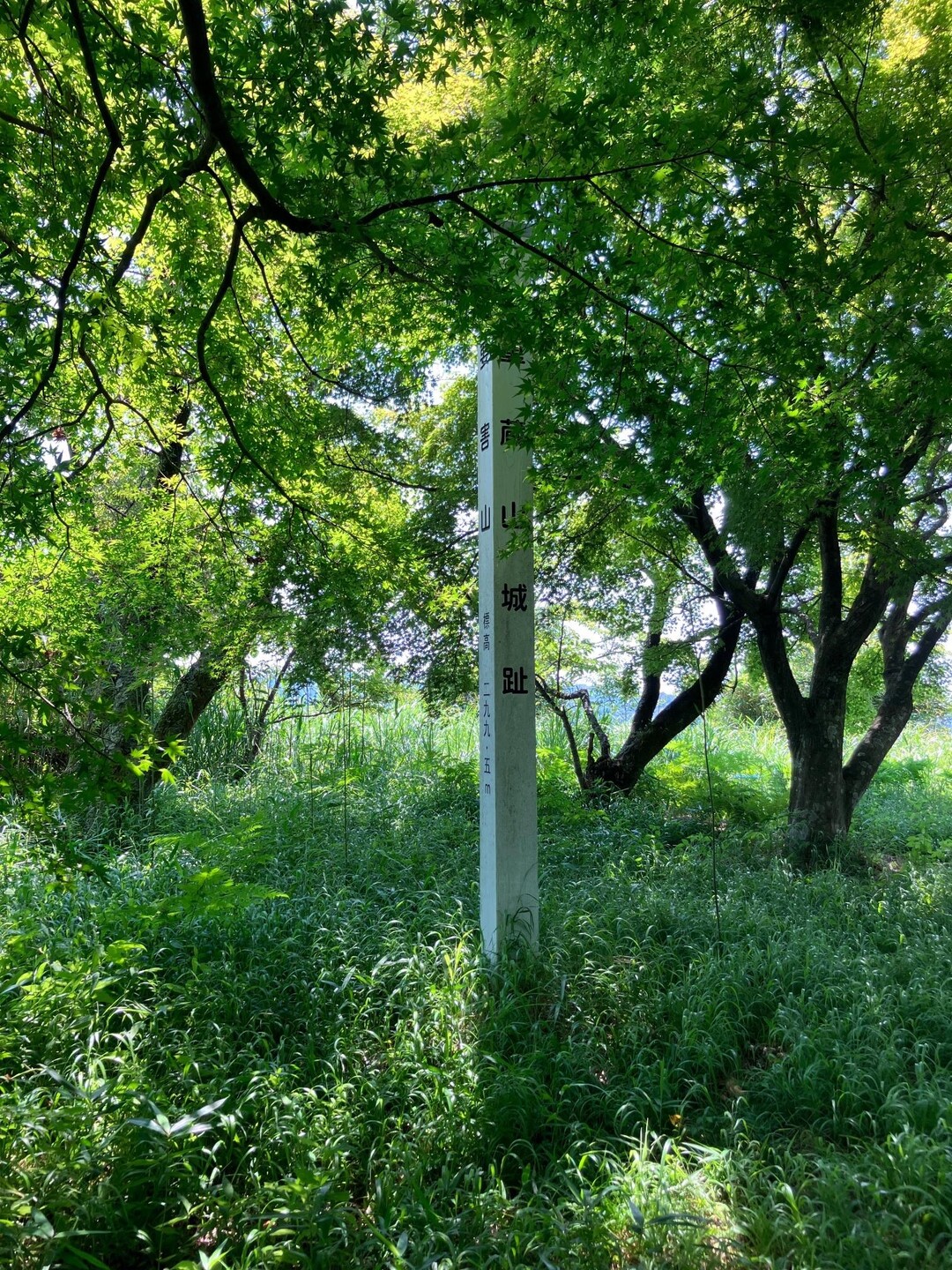 要害山 / iwaさんの要害山の活動データ | YAMAP / ヤマップ