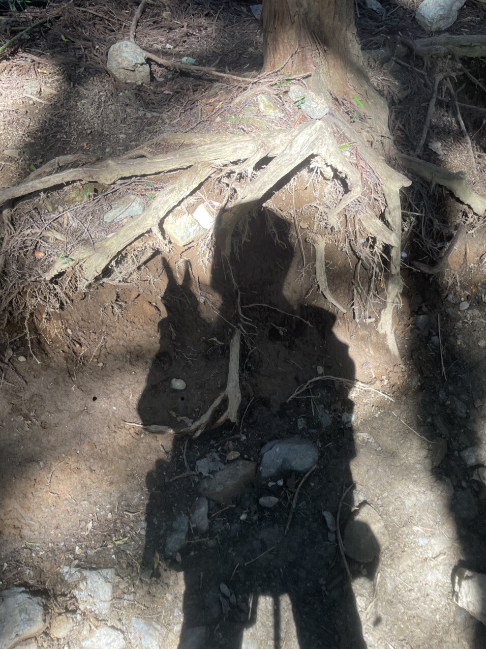 YOU1のページ | YAMAP / ヤマップ