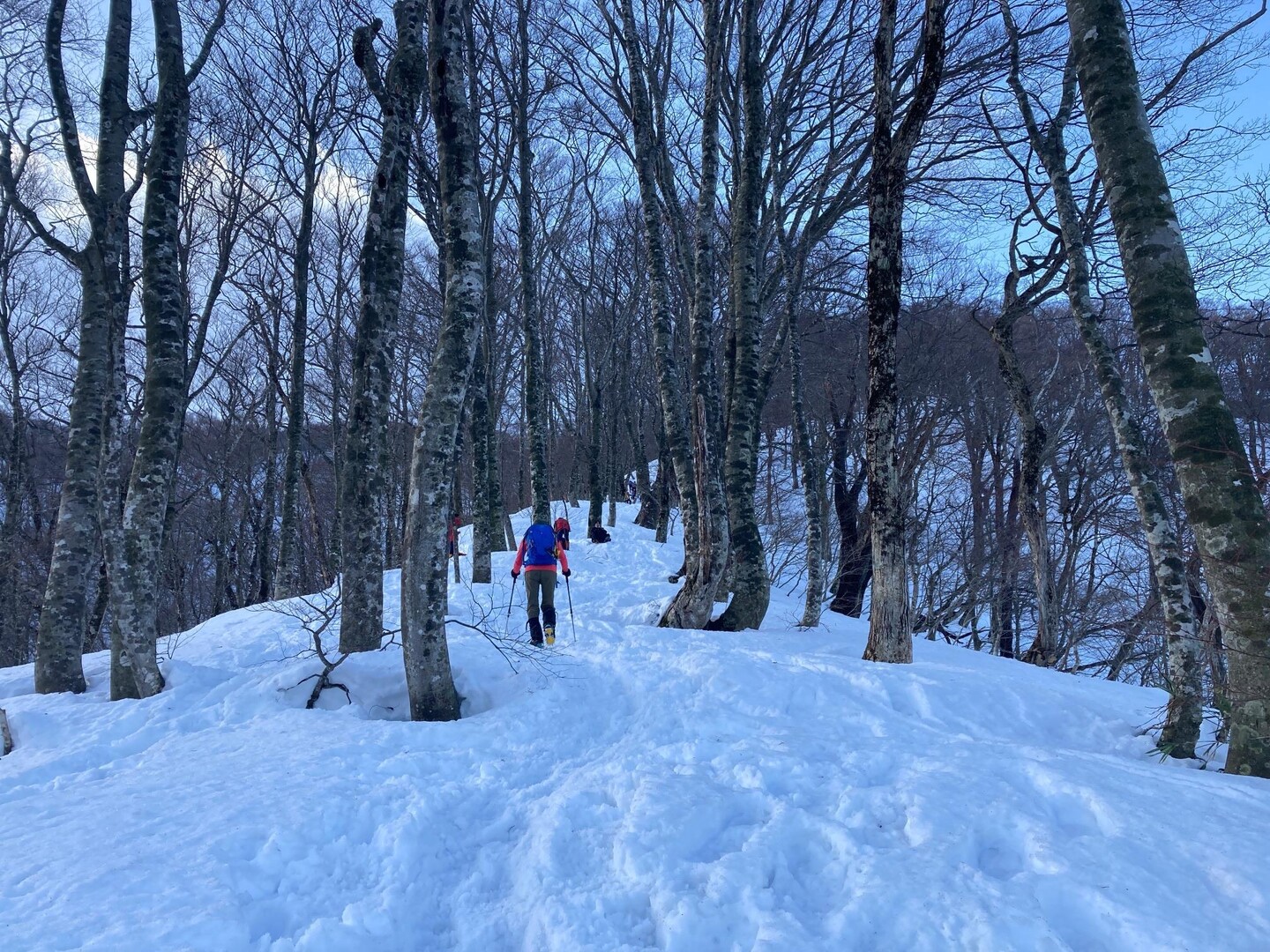 強風とガスの荒島岳 / assiさんの荒島岳の活動データ | YAMAP / ヤマップ