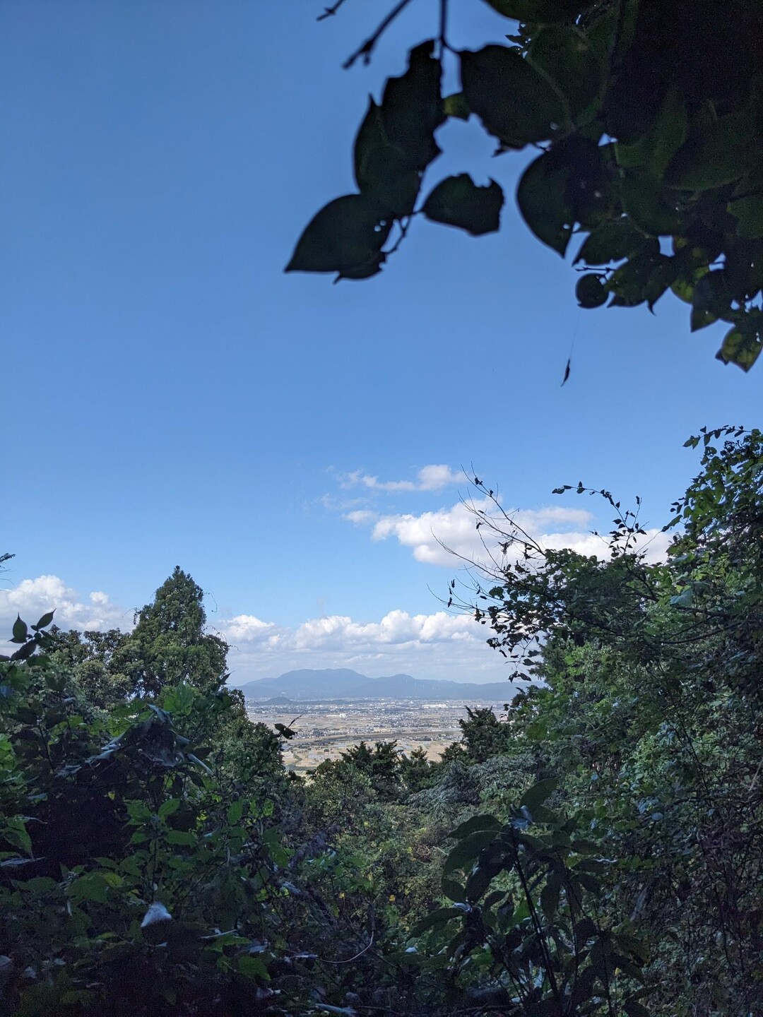 登山道整備⑧ / mkhkさんの高良山・発心山・鷹取山の活動データ | YAMAP / ヤマップ