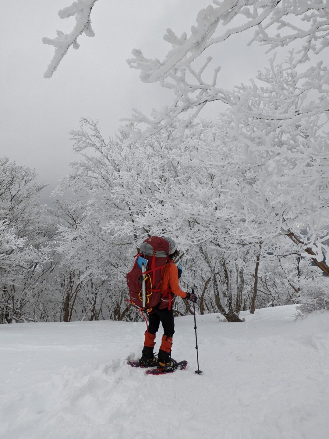 yokkoのページ | YAMAP / ヤマップ