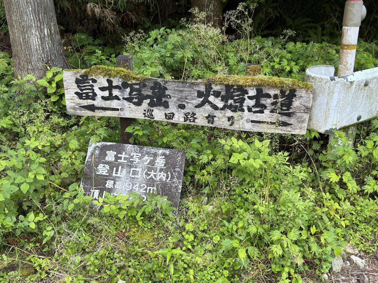 富士写ヶ岳 2024-6-8 登山部活動2回目 大内コース往復 / jt0450さんの富士写ヶ岳・小倉谷山・火燈山の活動データ | YAMAP / ヤマップ