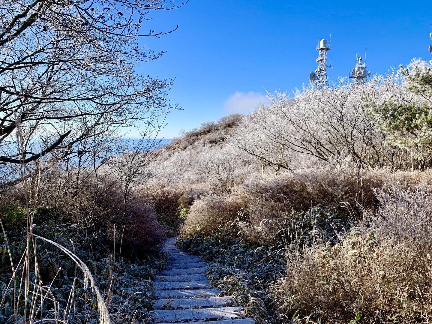 霧氷が綺麗な地蔵岳 ️ / maiさんの赤城山・黒檜山・荒山の活動データ | YAMAP / ヤマップ
