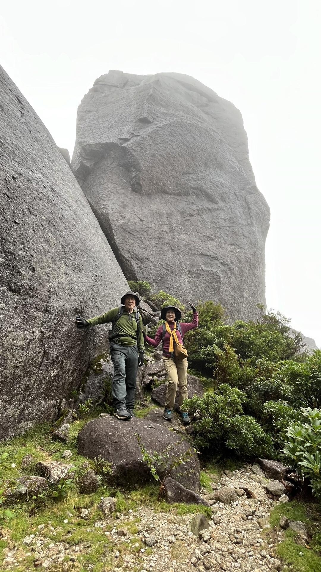 太忠岳 / ARAIさんの屋久島・宮之浦岳の活動データ | YAMAP / ヤマップ