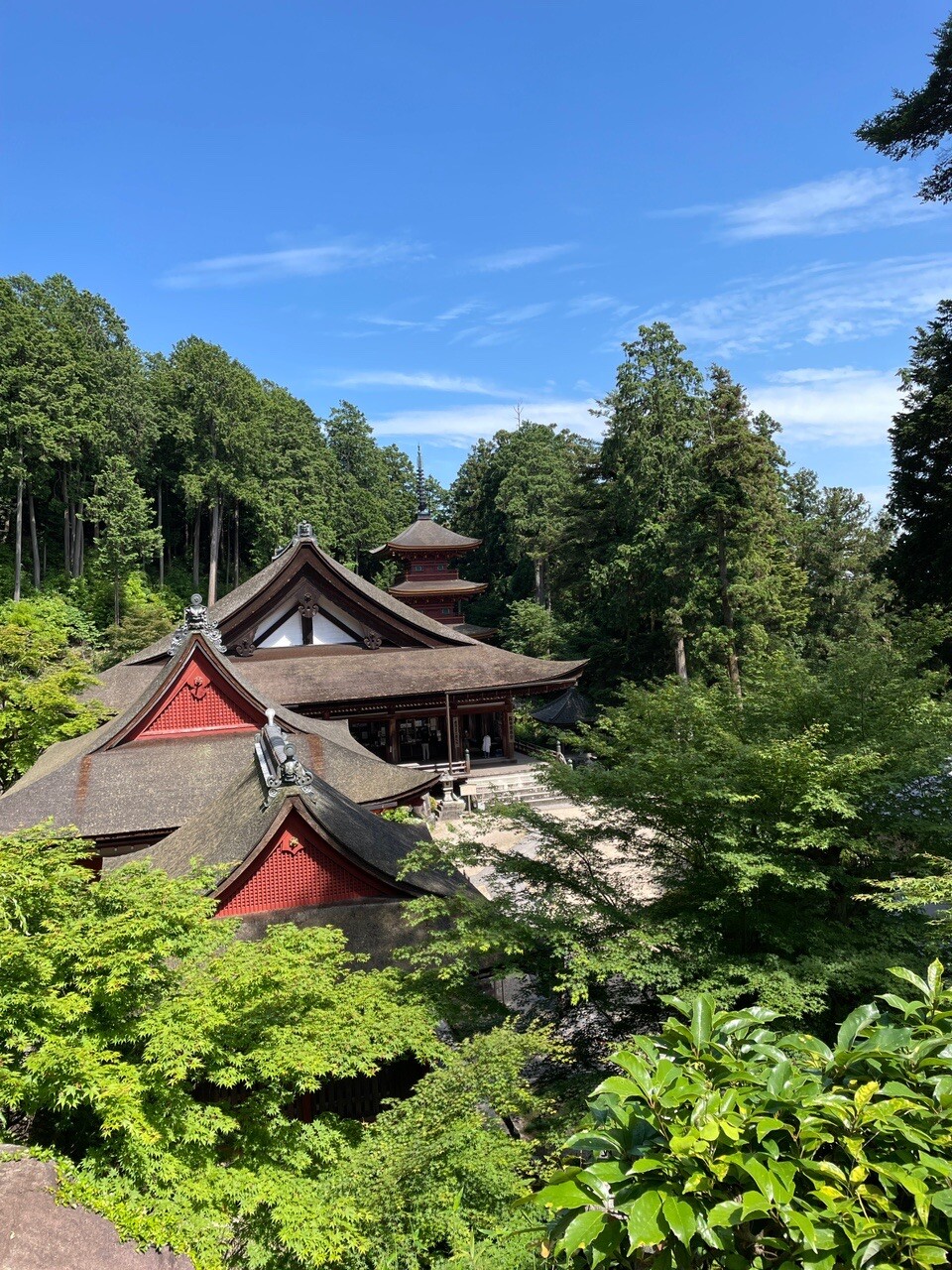 長命寺山・奥島山・尾山-2021-06-06 / kaz♡mealさんの長命寺山・奥島山・尾山の活動データ | YAMAP / ヤマップ