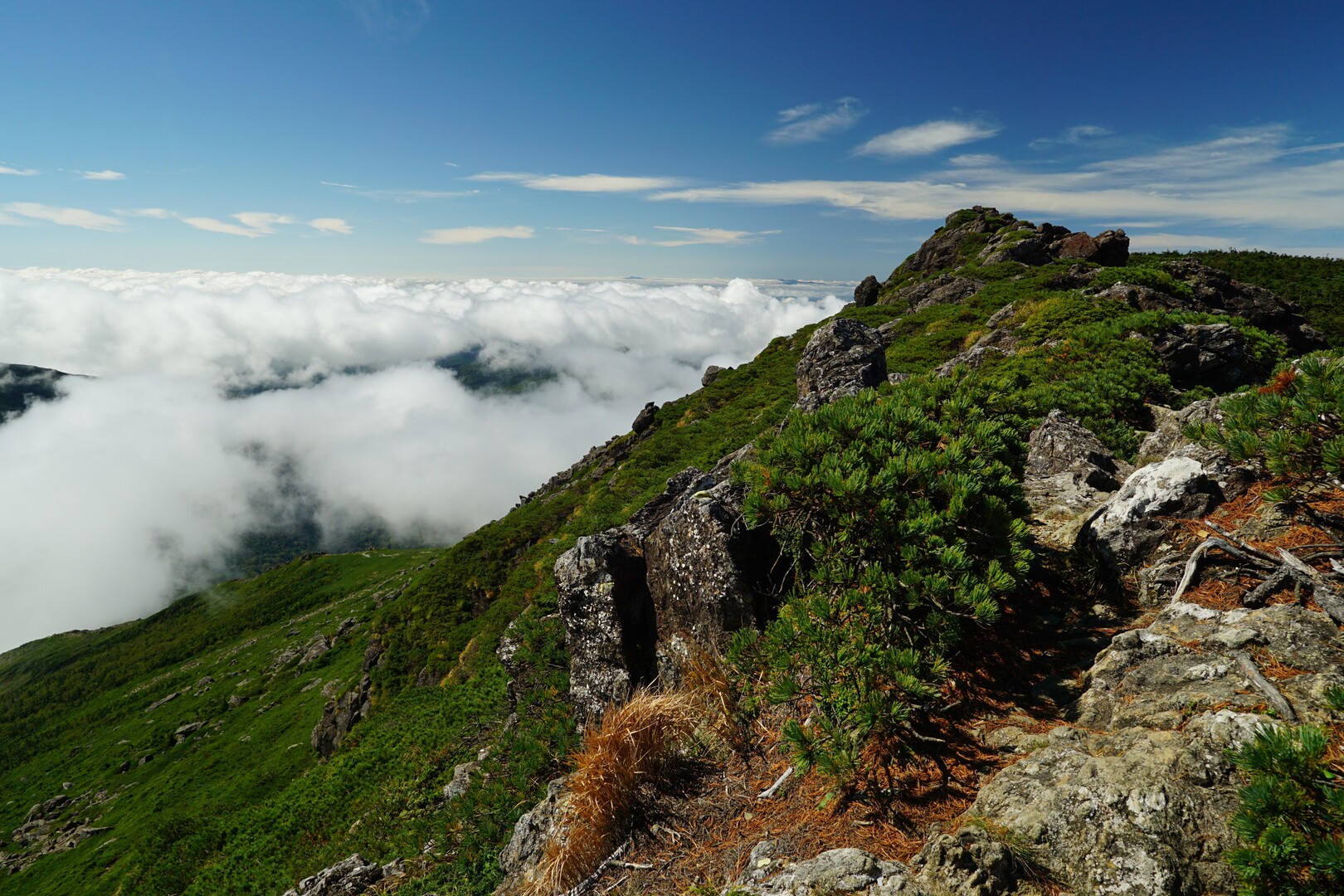 早池峰山 堪能コース / mss53さんの早池峰山・薬師岳・鶏頭山の活動データ | YAMAP / ヤマップ