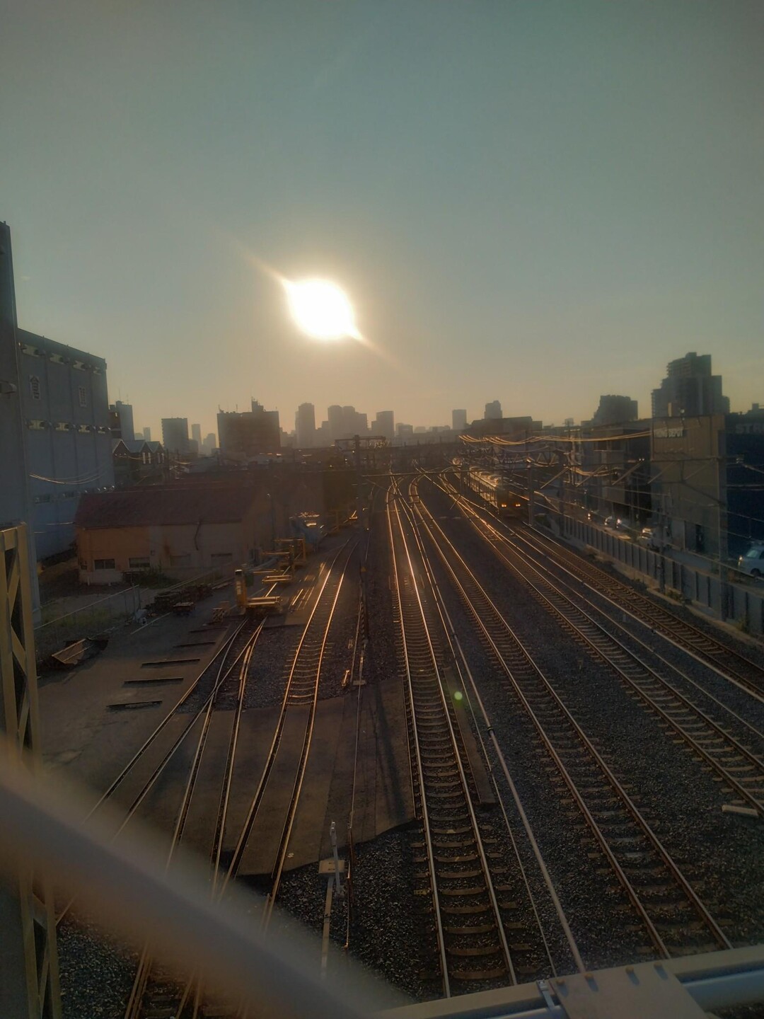 今日は夕方に夕焼けラン。 / 御堂筋さんのモーメント | YAMAP / ヤマップ