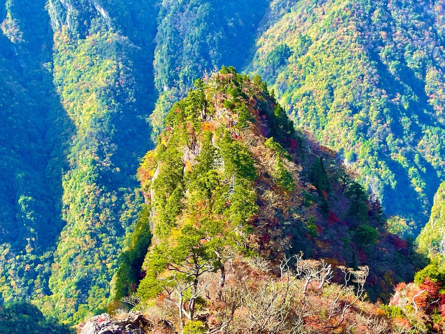 日本百名山「大台ヶ原山（日出ヶ岳）」、大蛇嵓は絶景 / kei.keiさんの大台ヶ原山・日出ヶ岳・大杉谷の活動データ | YAMAP / ヤマップ