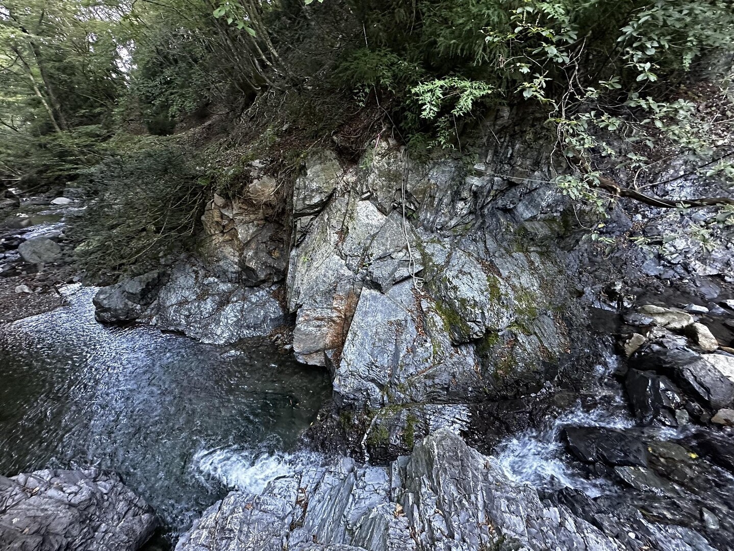 podoryさんの投稿したフィールドメモ | YAMAP / ヤマップ