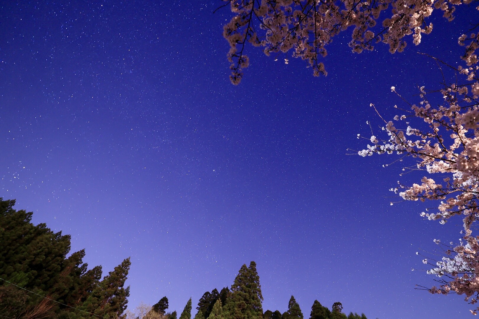 昨夜はほぼ新月で快晴だったので練習📷 ... / Koki・Fさんのモーメント | YAMAP / ヤマップ